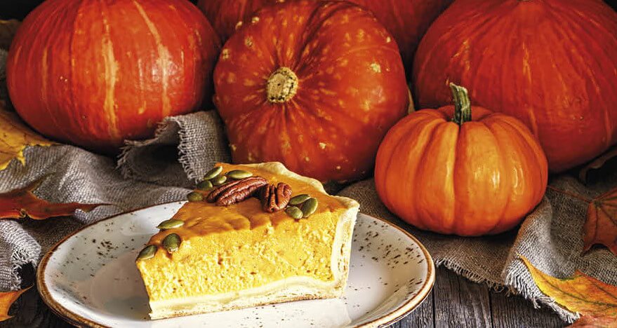 BULLETIN DE LA COOPÉRATIVE n°4 - Cavale - Votre Coopérative à Limoux