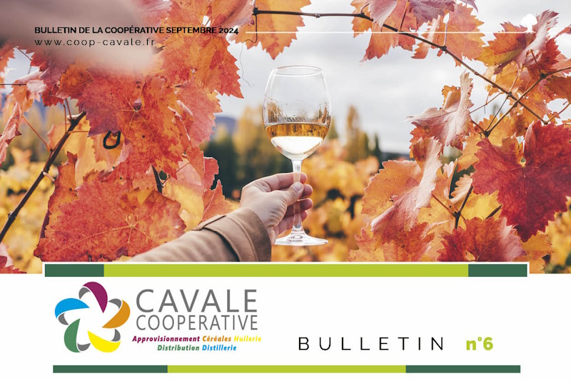 BULLETIN DE LA COOPÉRATIVE n°6 - Cavale - Votre Coopérative à Limoux
